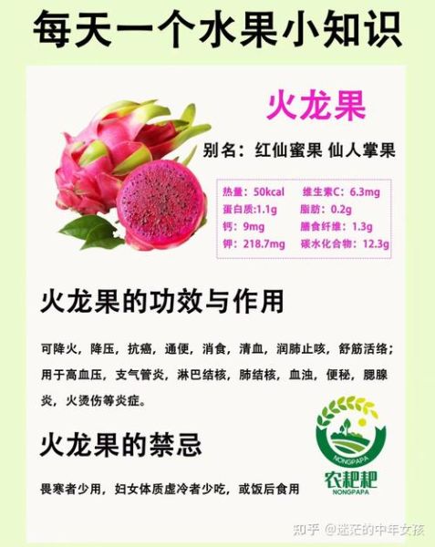 女人吃火龙果有什么好处和坏处_女性吃火龙果的利弊-第1张图片-山城妙识 女人吃火龙果有什么好处和坏处_女性吃火龙果的利弊-第1张图片-山城妙识