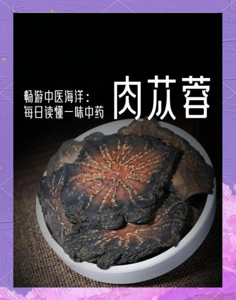 肉苁蓉哪些人不能吃_肉苁蓉禁忌人群有哪些-第3张图片-山城妙识