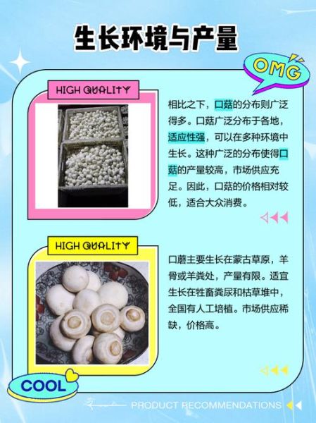 口蘑多少钱一斤_口蘑价格为什么差距大-第3张图片-山城妙识 口蘑多少钱一斤_口蘑价格为什么差距大-第3张图片-山城妙识