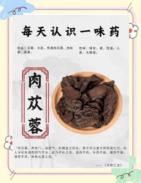 肉苁蓉哪些人不能吃_肉苁蓉禁忌人群有哪些-第2张图片-山城妙识