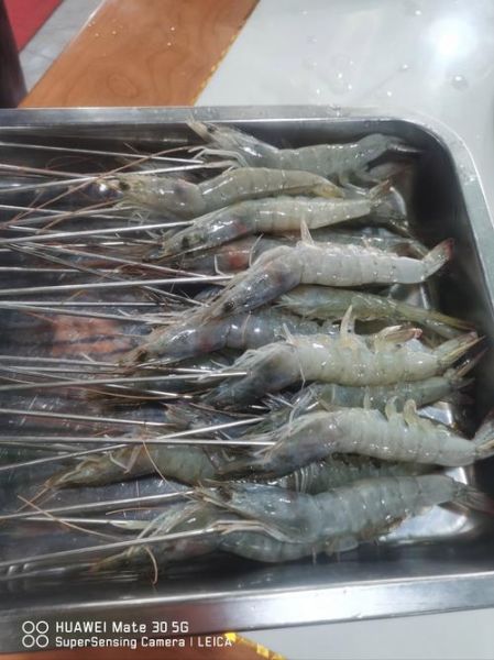 青虾图片大全大图片_高清青虾实拍图怎么拍-第1张图片-山城妙识