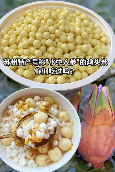 鸡头米多少钱一斤_鸡头米怎么做好吃-第1张图片-山城妙识