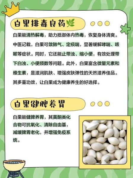 白果是什么东西_白果的功效与作用-第1张图片-山城妙识