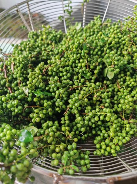 青花椒多少钱一斤_2024最新价格行情-第2张图片-山城妙识