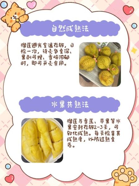 榴莲不熟要怎么放才能熟_榴莲放几天能熟-第3张图片-山城妙识
