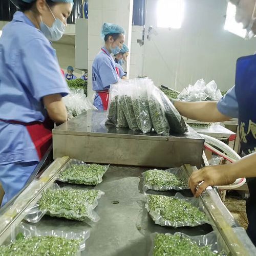 青花椒多少钱一斤_2024最新价格行情-第1张图片-山城妙识