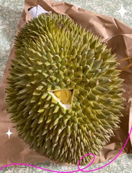 榴莲不熟要怎么放才能熟_榴莲放几天能熟-第1张图片-山城妙识