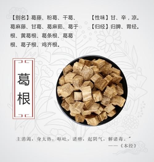 葛根能降血糖吗_葛根的副作用有哪些-第1张图片-山城妙识