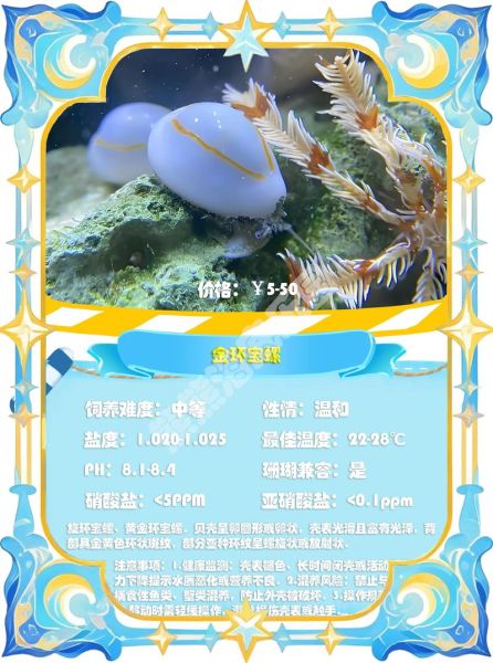 海螺种类大全_如何区分常见海螺-第3张图片-山城妙识