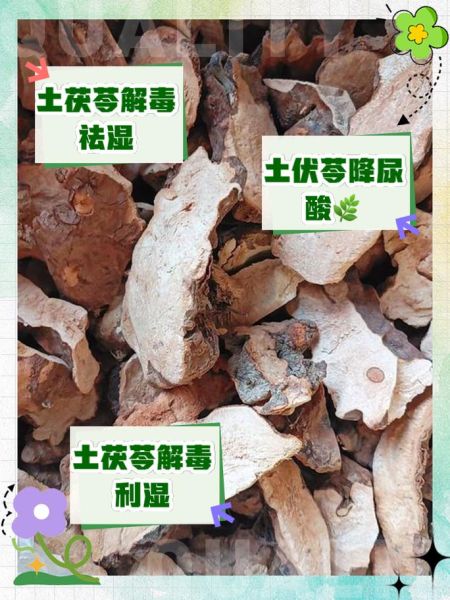 土茯苓的功效与作用_土茯苓主治什么病-第1张图片-山城妙识