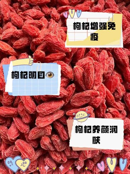 枸杞子泡茶的功效与作用_长期喝枸杞子泡茶会上火吗-第1张图片-山城妙识