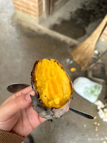 哪里卖烤红薯最赚钱_学校门口还是地铁口-第3张图片-山城妙识