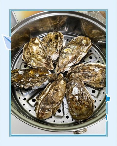 生蚝清蒸多长时间熟_清蒸生蚝几分钟最佳-第2张图片-山城妙识 生蚝清蒸多长时间熟_清蒸生蚝几分钟最佳-第2张图片-山城妙识