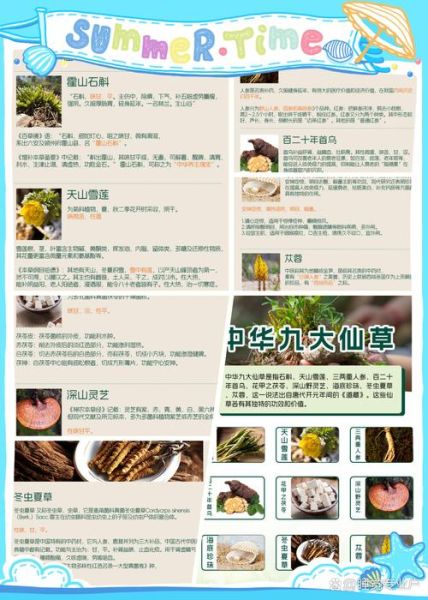 仙草是什么植物_仙草的功效与作用-第3张图片-山城妙识 仙草是什么植物_仙草的功效与作用-第3张图片-山城妙识