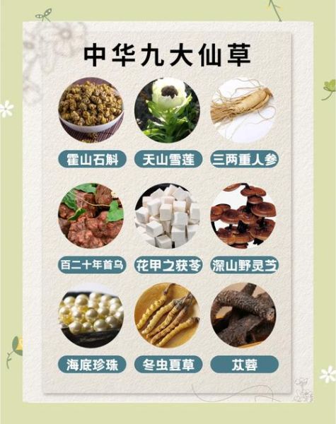 仙草是什么植物_仙草的功效与作用-第1张图片-山城妙识 仙草是什么植物_仙草的功效与作用-第1张图片-山城妙识