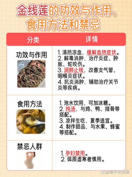 金线莲的功效与禁忌_金线莲哪些人不能吃-第1张图片-山城妙识