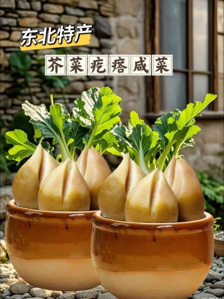 芥菜疙瘩怎么腌_芥菜疙瘩咸菜的做法-第3张图片-山城妙识