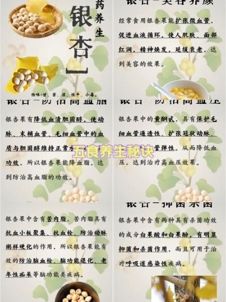 新鲜银杏果怎么吃_银杏果去毒正确方法-第3张图片-山城妙识 新鲜银杏果怎么吃_银杏果去毒正确方法-第3张图片-山城妙识