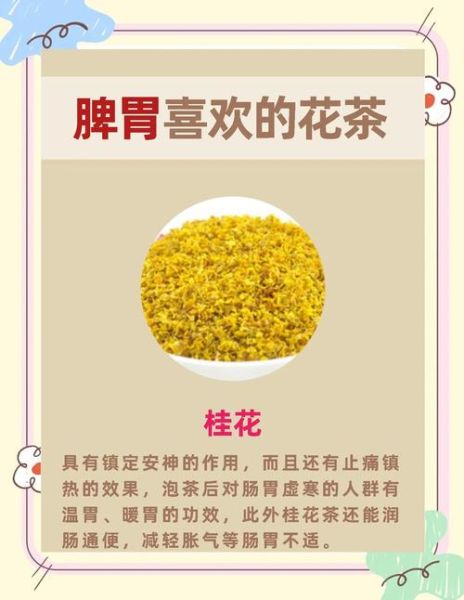 脾胃虚弱不能喝什么茶_三种茶越喝越虚-第1张图片-山城妙识 脾胃虚弱不能喝什么茶_三种茶越喝越虚-第1张图片-山城妙识