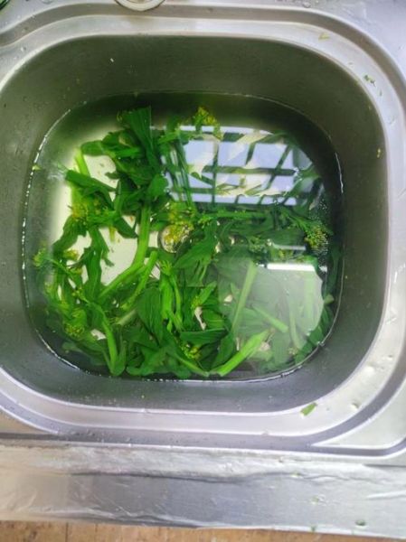 广东蒜蓉菜心怎么做_蒜蓉菜心焯水多久-第3张图片-山城妙识 广东蒜蓉菜心怎么做_蒜蓉菜心焯水多久-第3张图片-山城妙识