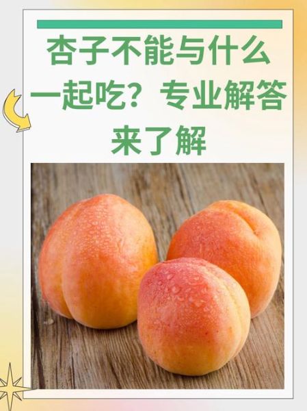 杏子吃多了会怎样_杏子吃多了有什么副作用-第1张图片-山城妙识