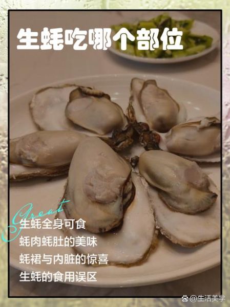 吃生蚝要去掉什么部位_生蚝内脏能吃吗-第3张图片-山城妙识 吃生蚝要去掉什么部位_生蚝内脏能吃吗-第3张图片-山城妙识