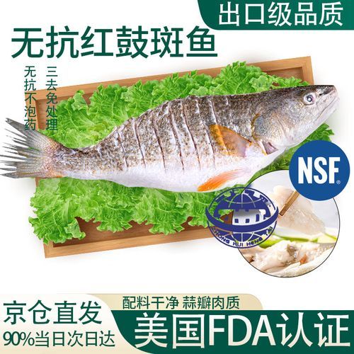 美国红鱼多少钱一斤_美国红鱼价格走势-第3张图片-山城妙识 美国红鱼多少钱一斤_美国红鱼价格走势-第3张图片-山城妙识