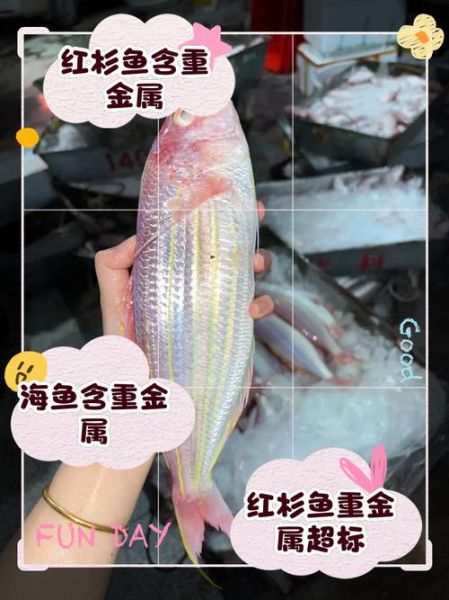 美国红鱼多少钱一斤_美国红鱼价格走势-第2张图片-山城妙识 美国红鱼多少钱一斤_美国红鱼价格走势-第2张图片-山城妙识