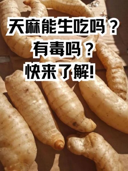 天麻不适合什么人吃_天麻禁忌人群有哪些-第1张图片-山城妙识