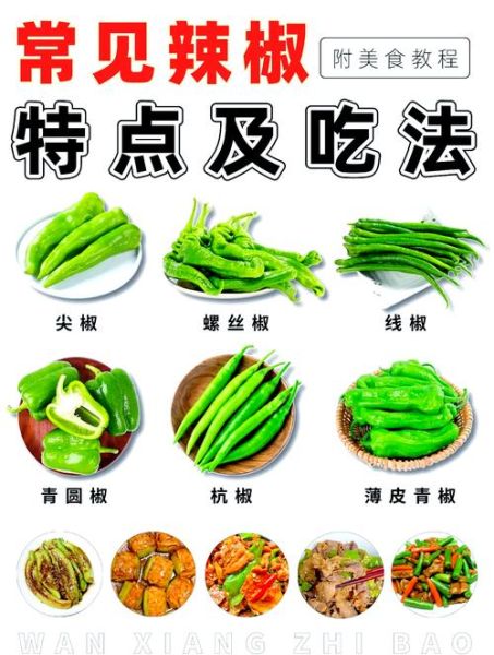 青椒的营养价值与功效_青椒可以减肥吗-第2张图片-山城妙识