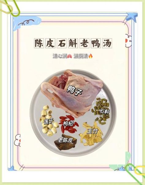 陈皮老鸭汤怎么做_老鸭汤加陈皮有什么好处-第1张图片-山城妙识