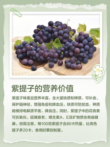 紫葡萄的营养价值_紫葡萄的功效与作用-第1张图片-山城妙识