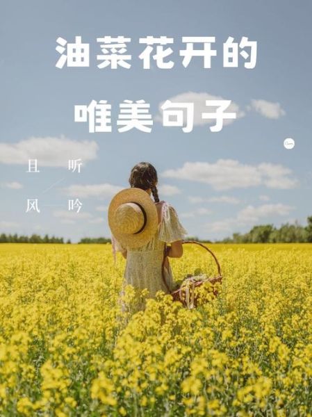 赏油菜花的心情句子_油菜花怎么形容才动人-第3张图片-山城妙识