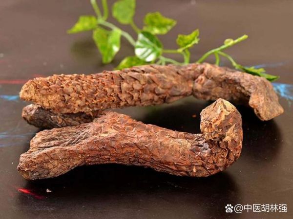 补肾药材有哪些_肾虚吃什么中药好-第1张图片-山城妙识