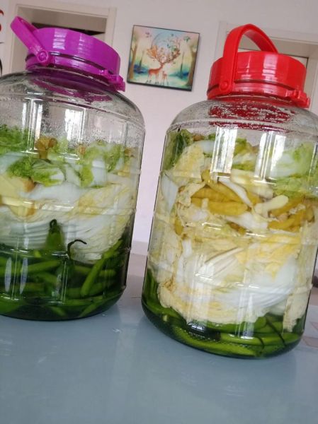 东北酸白菜怎么腌制_东北酸白菜腌制方法视频-第1张图片-山城妙识