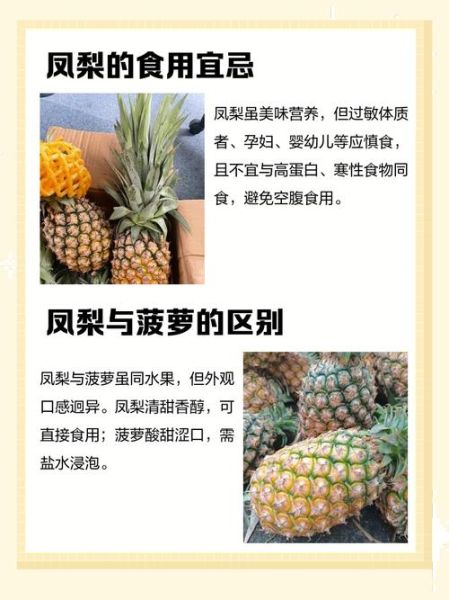 吃菠萝是什么性暗示_女生说吃菠萝暗示什么-第1张图片-山城妙识 吃菠萝是什么性暗示_女生说吃菠萝暗示什么-第1张图片-山城妙识