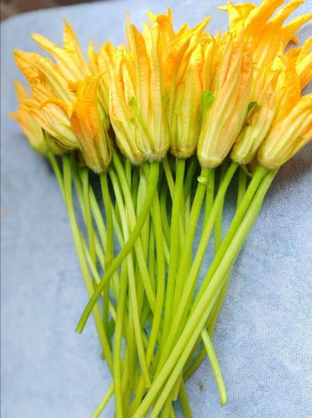 清炒南瓜花怎么做_清炒南瓜花要焯水吗-第2张图片-山城妙识 清炒南瓜花怎么做_清炒南瓜花要焯水吗-第2张图片-山城妙识