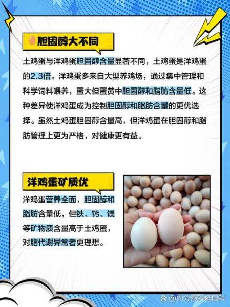 土鸡蛋和洋鸡蛋有什么区别_哪个更有营养-第1张图片-山城妙识