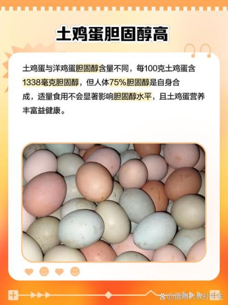 土鸡蛋和洋鸡蛋有什么区别_哪个更有营养-第2张图片-山城妙识
