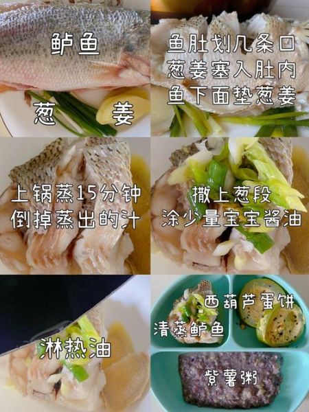 宝宝第一次吃鱼怎么做_婴儿辅食清蒸鲈鱼步骤-第1张图片-山城妙识