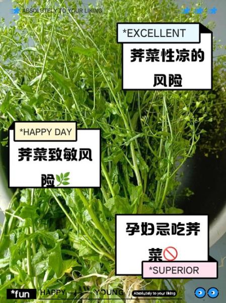 荠菜和什么吃了会中毒_荠菜相克食物有哪些-第1张图片-山城妙识