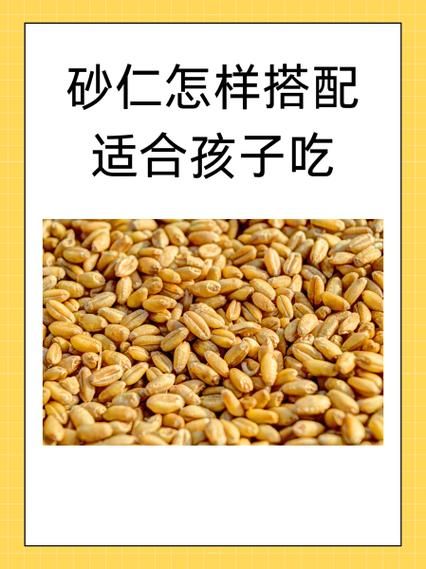 砂仁怎么吃_砂仁的正确吃法-第1张图片-山城妙识 砂仁怎么吃_砂仁的正确吃法-第1张图片-山城妙识