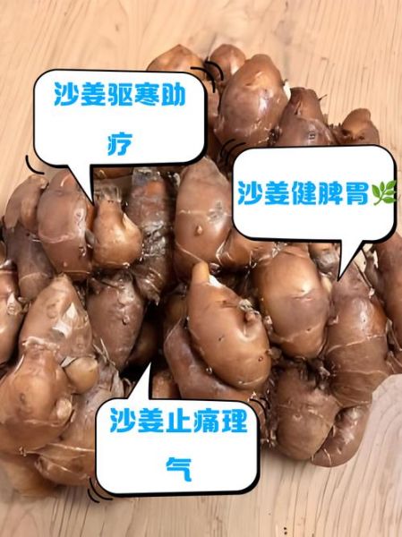 沙姜的功效与作用_沙姜怎么吃效果最好-第2张图片-山城妙识