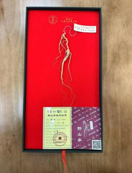 人参多少钱一根_人参价格受哪些因素影响-第2张图片-山城妙识