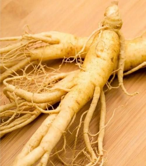 人参多少钱一根_人参价格受哪些因素影响-第1张图片-山城妙识