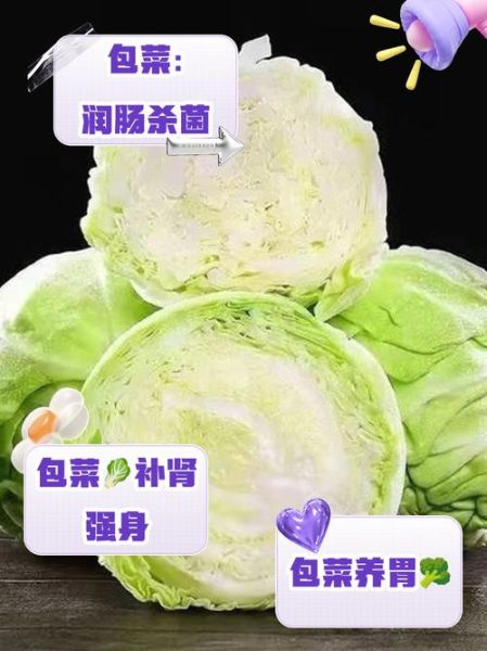 包菜的营养价值_包菜的功效与作用-第3张图片-山城妙识