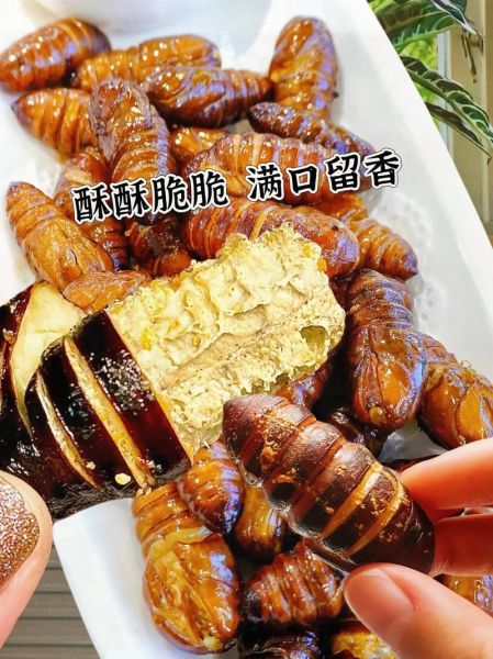 柞蚕蛹怎么吃_柞蚕蛹的营养价值-第2张图片-山城妙识