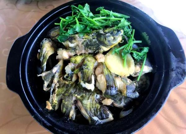 黄蜂鱼怎么煮好吃又营养_黄蜂鱼煮多久最嫩-第1张图片-山城妙识