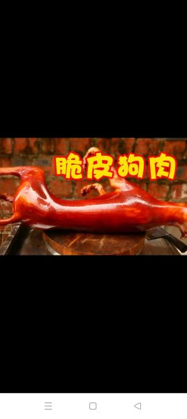 狗肉火锅怎么做_狗肉火锅正宗做法-第2张图片-山城妙识 狗肉火锅怎么做_狗肉火锅正宗做法-第2张图片-山城妙识