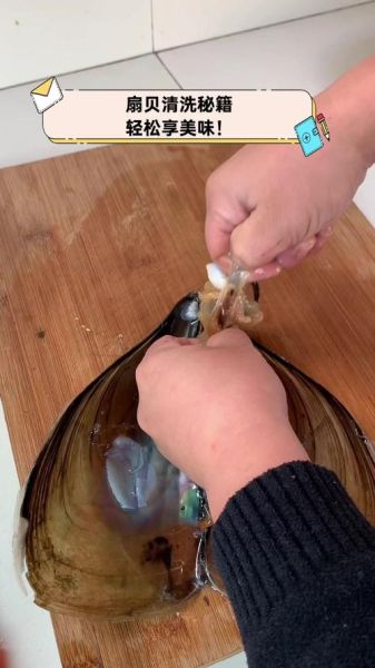 扇贝肉怎么清洗_扇贝肉清洗视频教程-第2张图片-山城妙识 扇贝肉怎么清洗_扇贝肉清洗视频教程-第2张图片-山城妙识